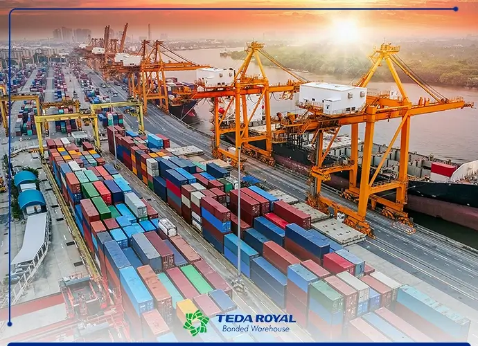 Understanding cargo management How to improve your transportation ...